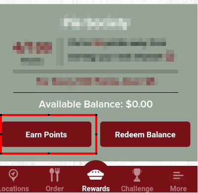How to scan a receipt using the app?