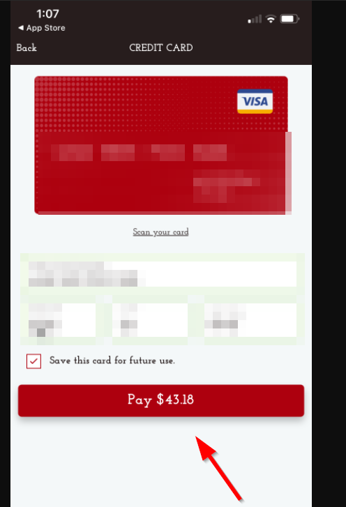 Why is the "Pay" and amount button missing in the app on the credit ...