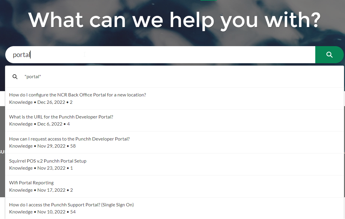 How do I access the Punchh Support Portal? (Single Sign On)